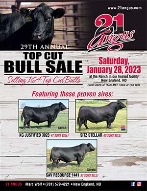 Bull Sale | 21 Angus Ranch